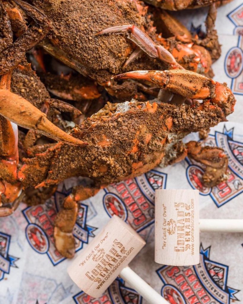 Crab Season Starter Pack - Conrad's Crabs